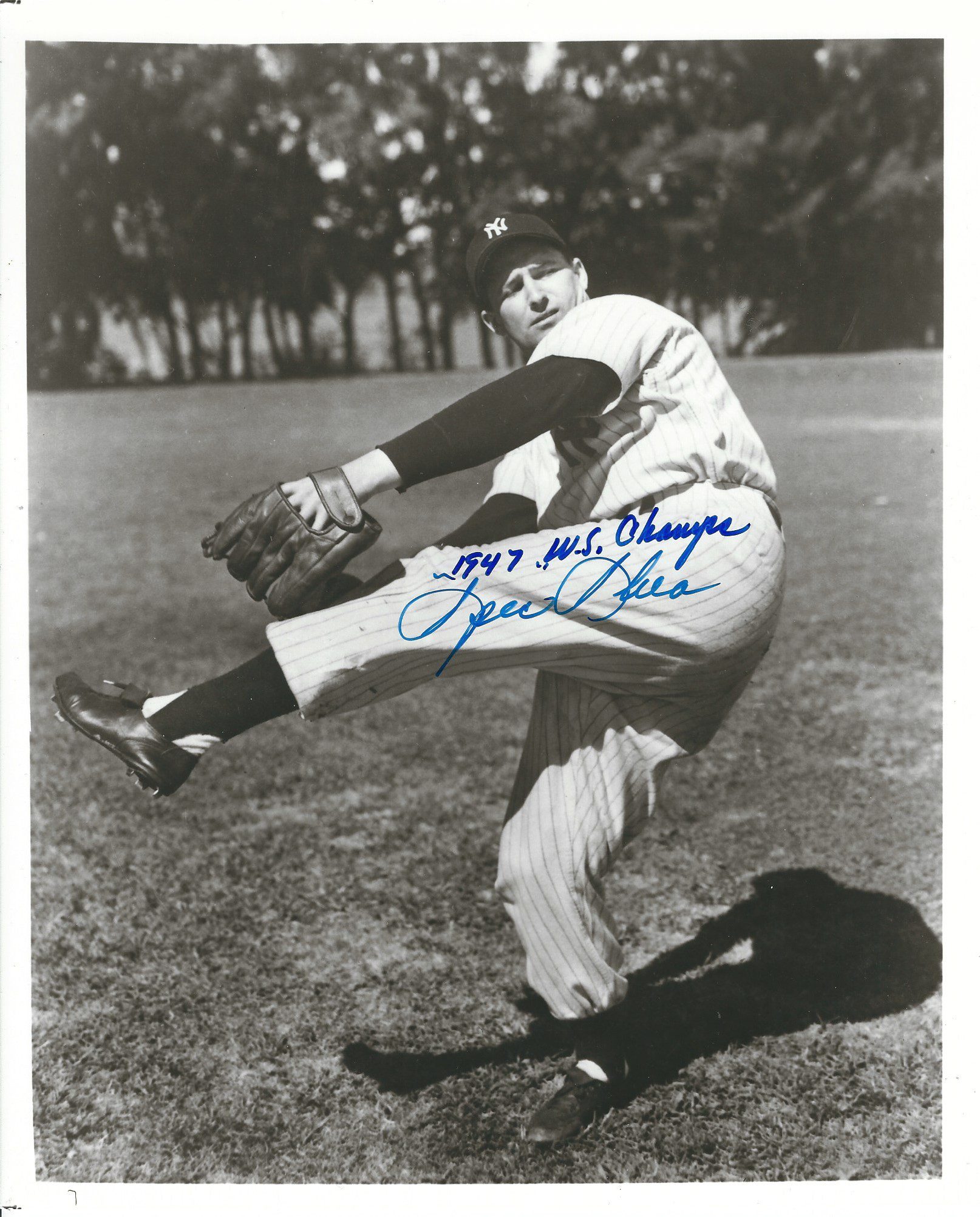 AUTOGRAPHED SPEC SHEA 8X10 NEW YORK YANKEES photo - Main Line Autographs